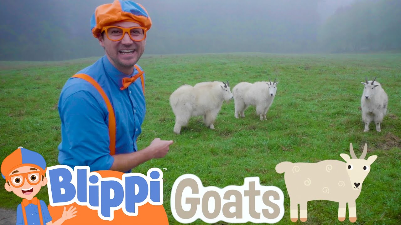 Blippi Explores A Wildlife Park | Learning Animals For Kids - YouTube