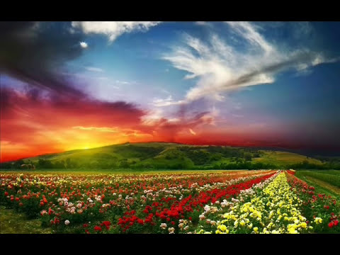 SEÇKİN İLAHİLER mükemmel ilahiler