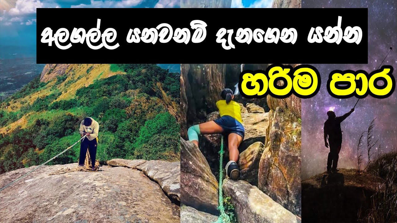 Alagalla mountain, Sri Lanka, How to hike Alagalla Full Guide with full ...