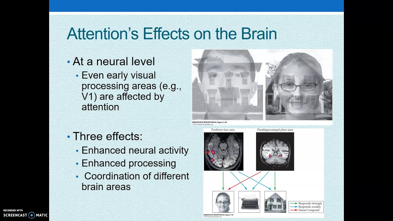 Attentional Blink and Change Blindness - YouTube
