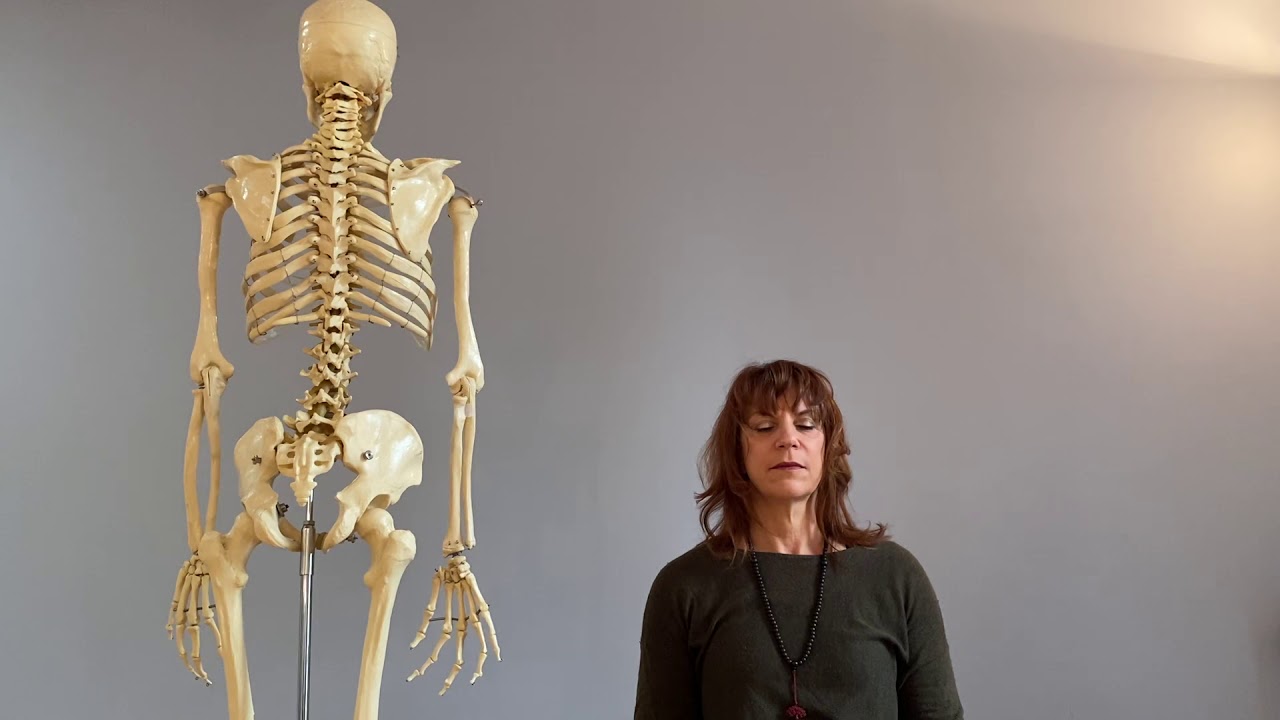 Meditation: Spine awareness (Annie Weisbrod) - YouTube