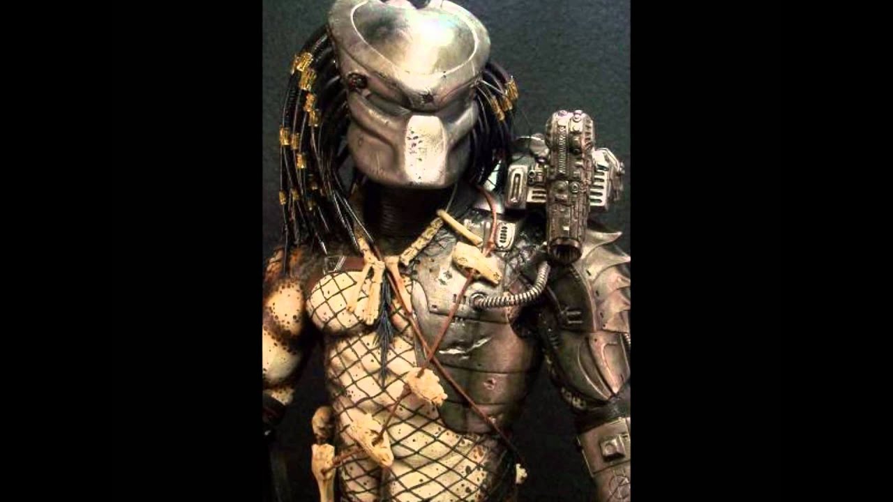 PREDATOR NARIN - YouTube