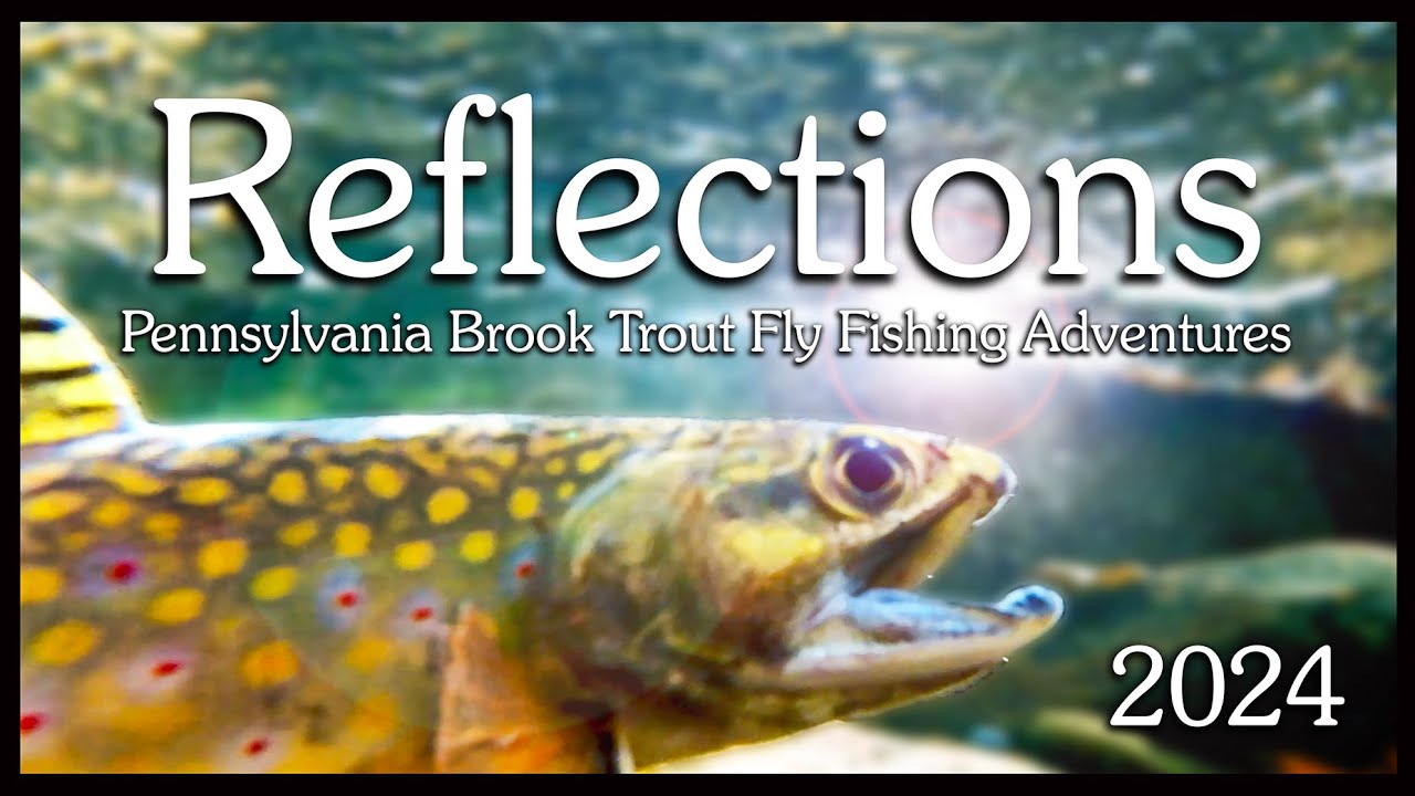 Reflections 2024 | Pennsylvania Brook Trout Fly Fishing Adventures ...