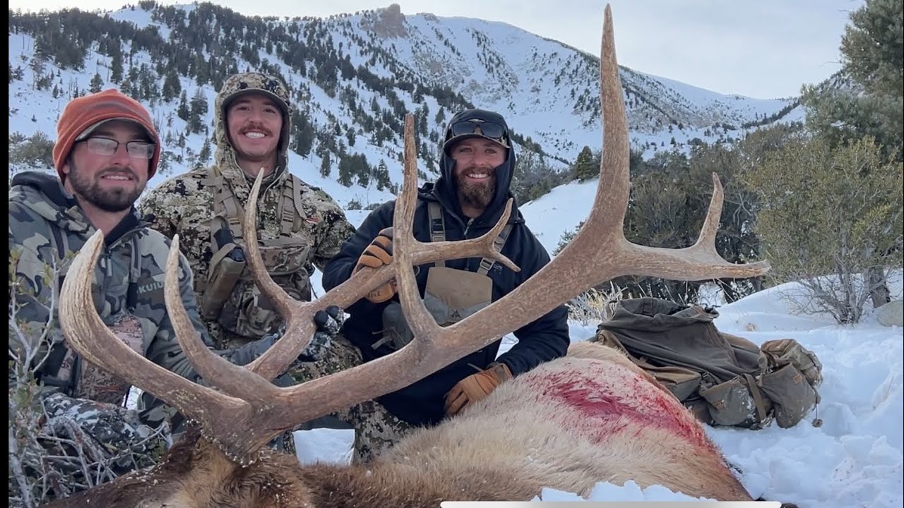 “Rubies Repeat” A 2023 Nevada Depredation Bull Elk Hunt - YouTube