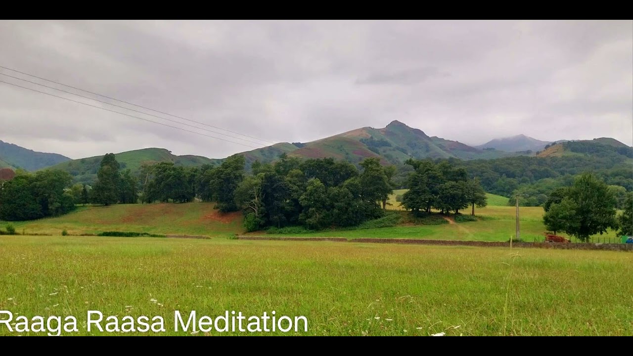 Raaga | Raasa | Meditation Music | Instrumental | Sitar - YouTube