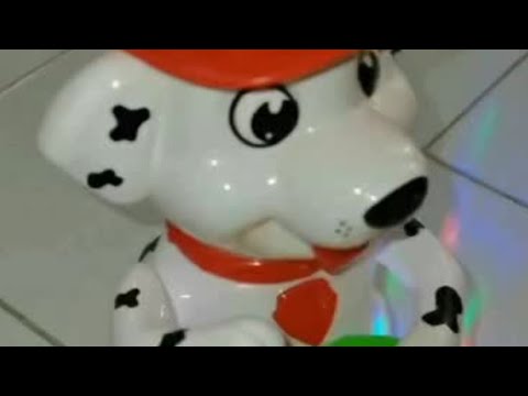 Let's play musical dancing dog with light - YouTube