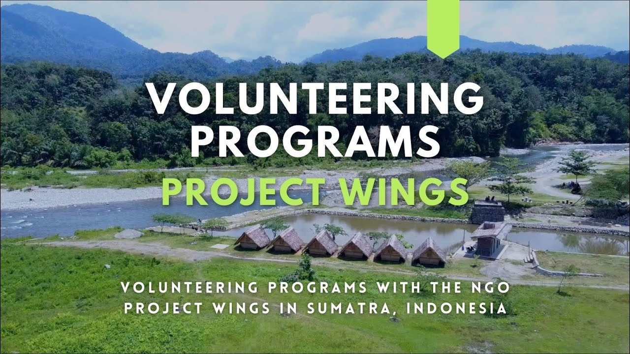 Project Wings Volunteering Programs in Bukit Lawang Sumatra - YouTube