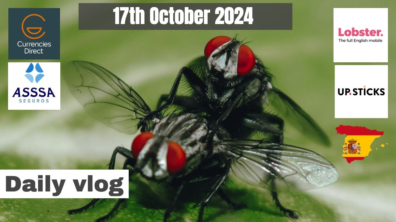 Invasion of flies on Camposol ? #expatinmazarron - YouTube