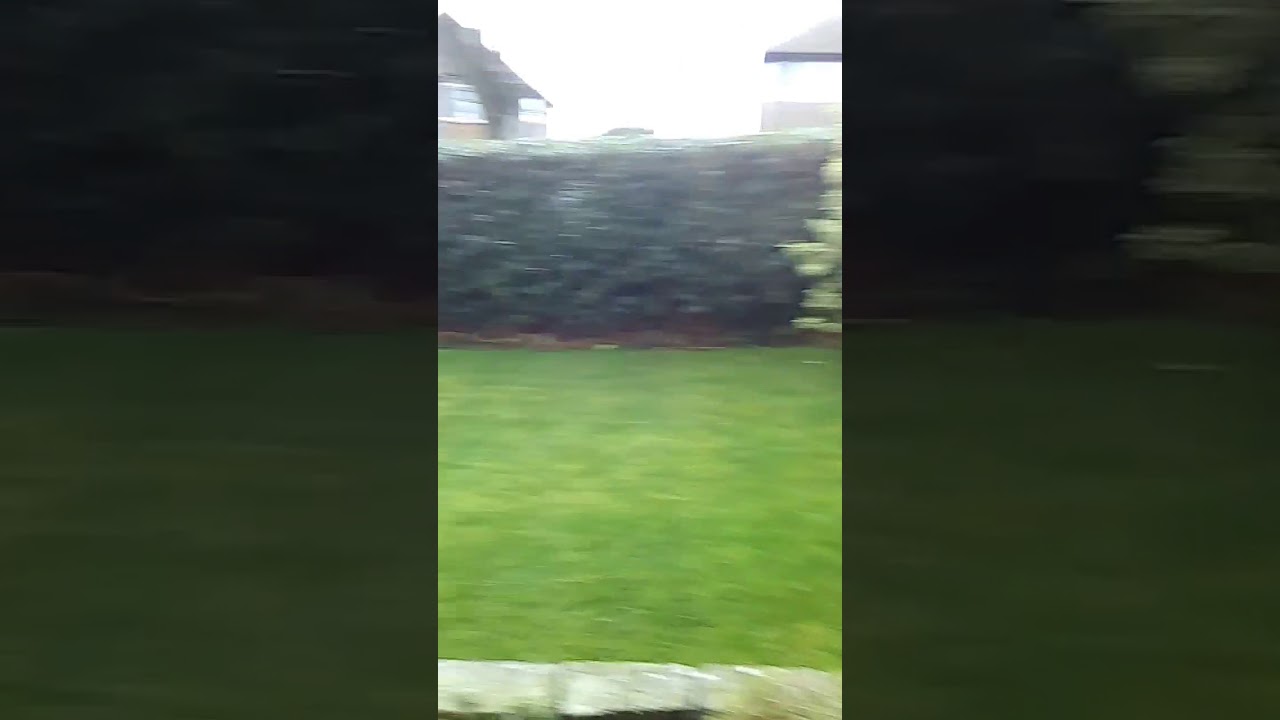 Stephen Callear College, Gardening - YouTube