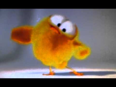 Sweety the chick - YouTube