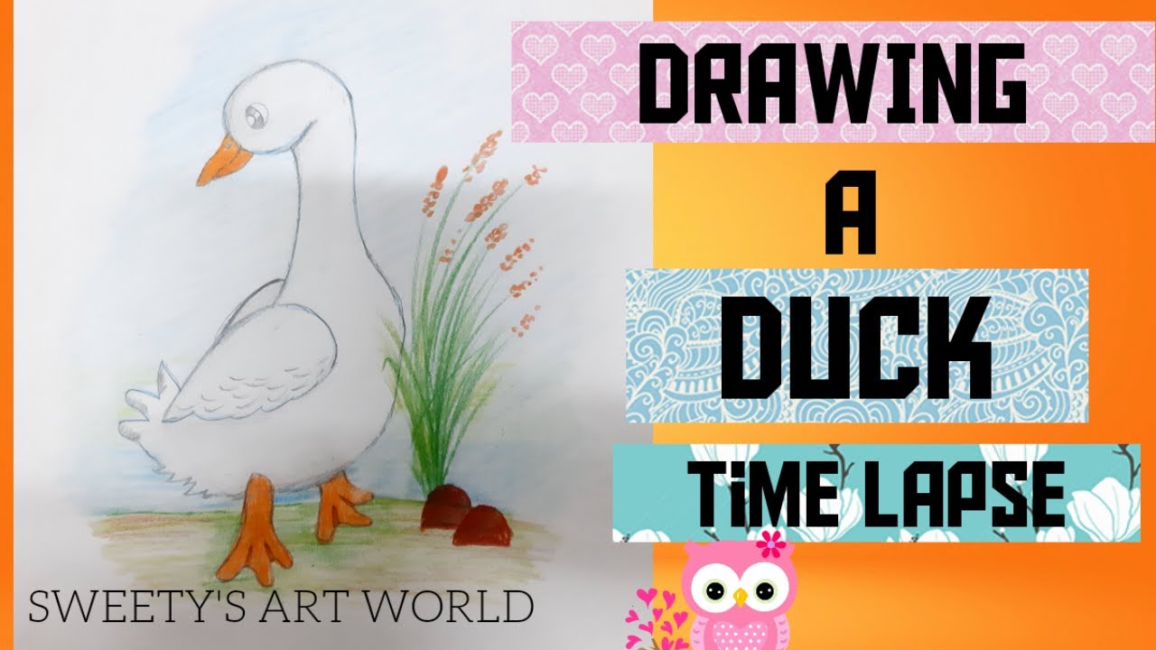 Drawing A Duck🦆 | Time Lapse Tutorial | SWEETY'S ART WORLD - YouTube