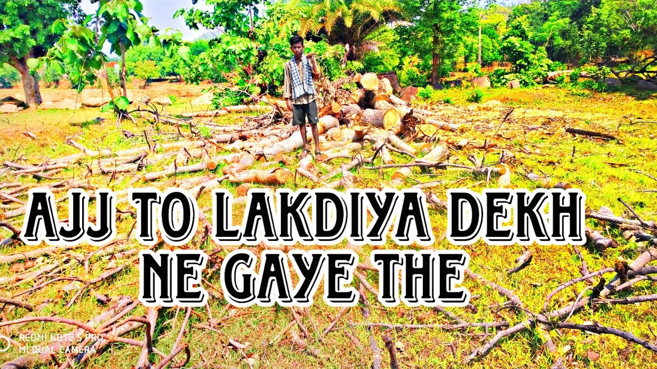 Ajj To Lakdiya Dekh Ne Gaye The - YouTube