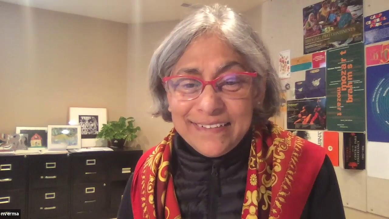 Pulte Institute Faculty Fellow Spotlight with Neeta Verma - YouTube