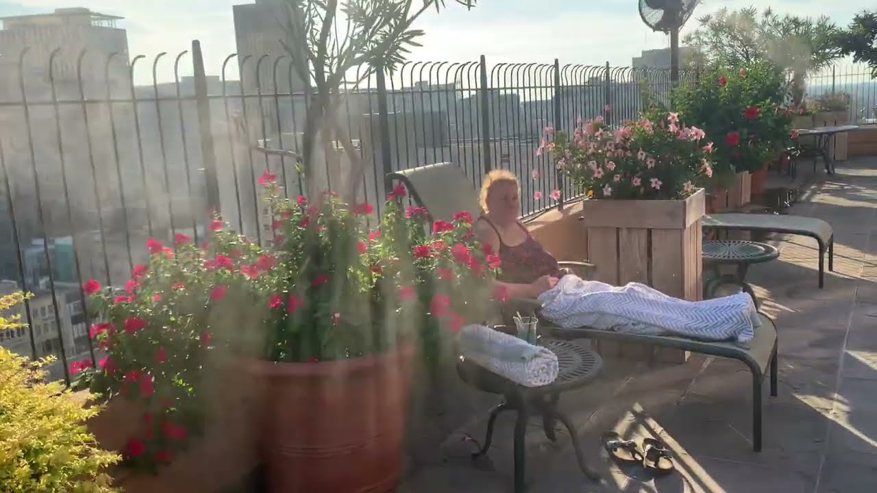 HOTEL MONTELEONE POOL - YouTube