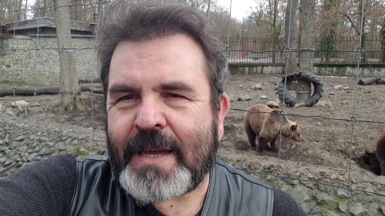 Vizita la Gradina ZOOLOGICA Timisoara 2020 - YouTube