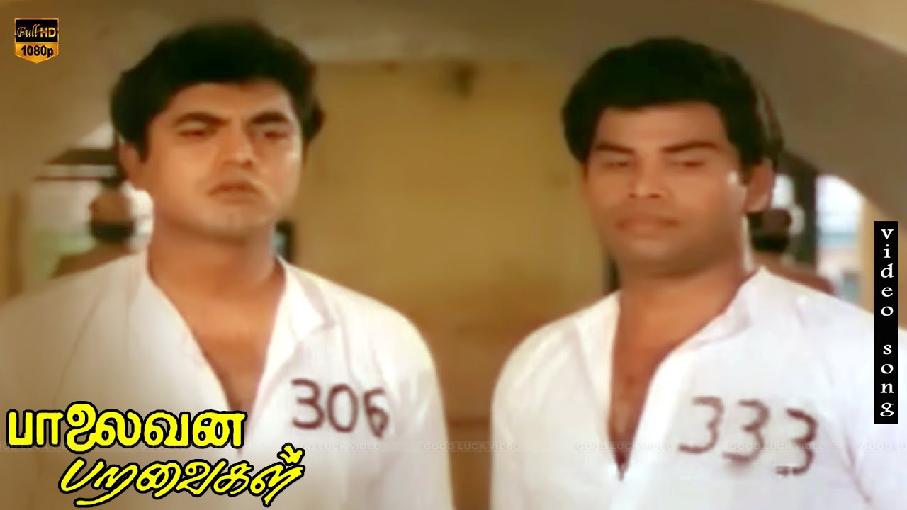 Naanga Mattum Song || Palaivana Paravaigal || Ilayagangai, Malaysia ...