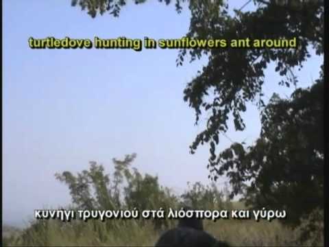 ΚΥΝΗΓΙ ΤΡΥΓΟΝΙΟΥ ΣΤΑ ΛΙΟΣΠΟΡΑ ΚΑΙ ΓΥΡΩ - YouTube