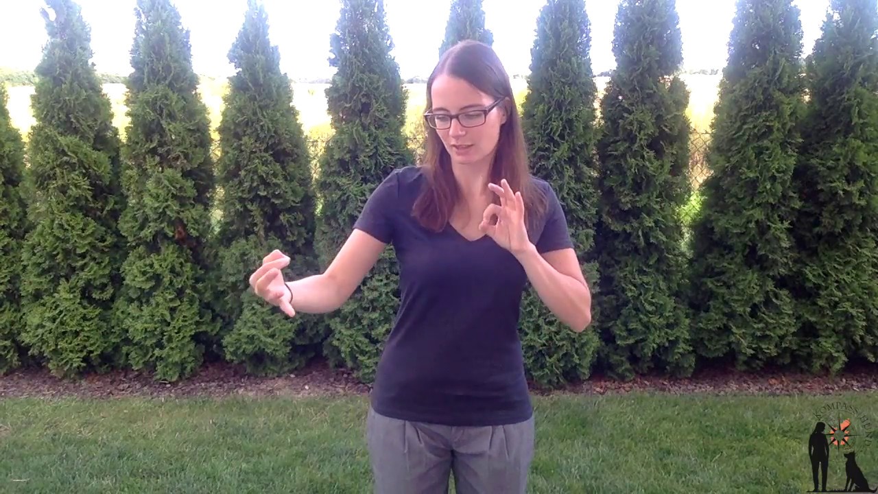 Kompass Hund in DGS: Sarah Feist - YouTube