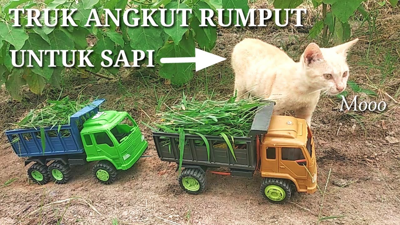 truk angkut rumput konvoi - YouTube