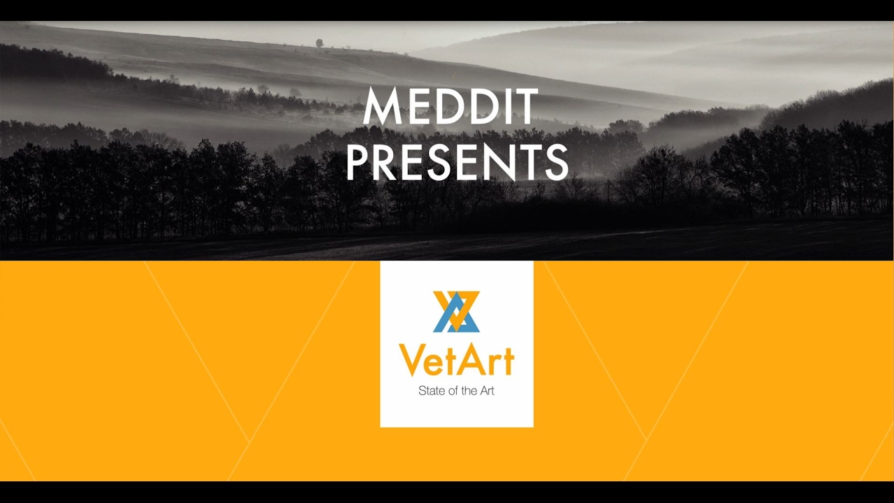 Meddit presents VetArt™ - YouTube