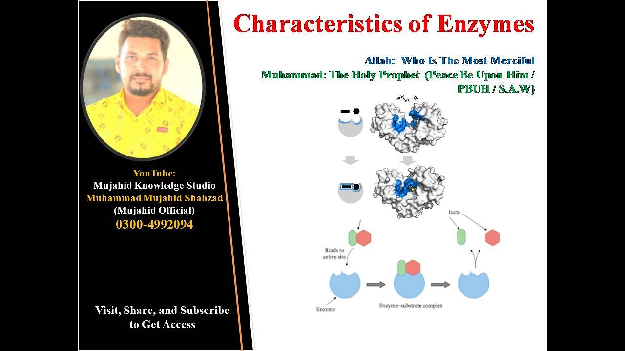 What are the Characters of Enzymes? Characters of Enzyme Animated ...