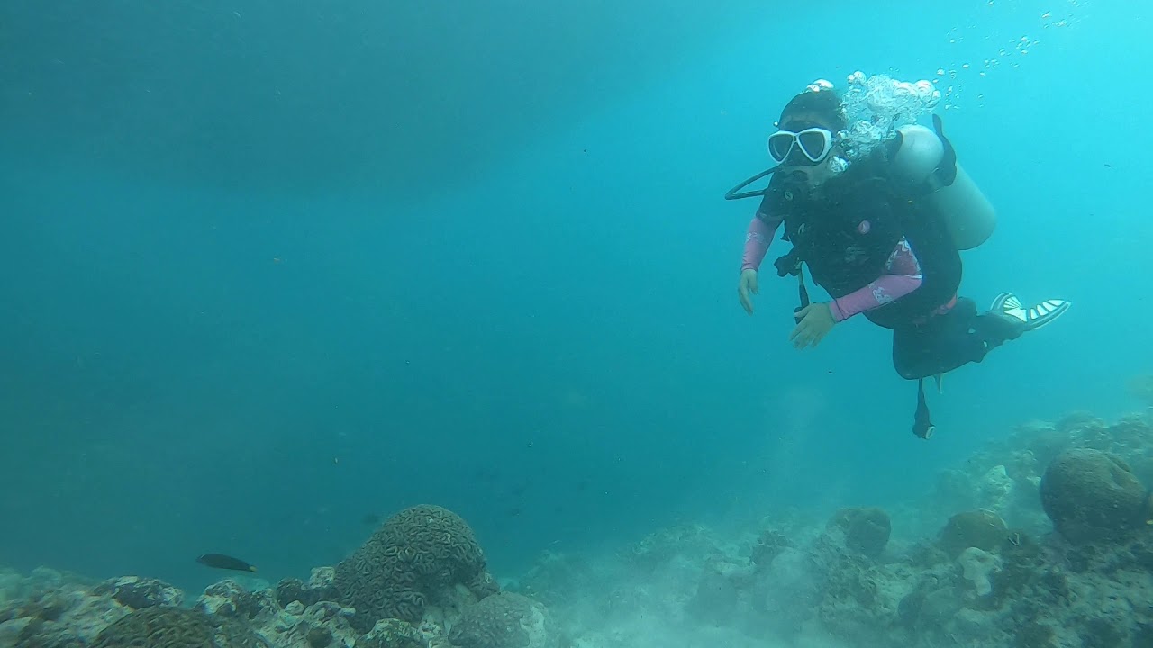 Moalboal Diving - YouTube