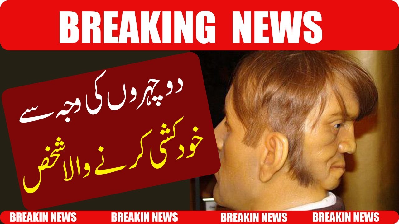 Edward mordrake true story man with two faces biography myrtle corbin ...