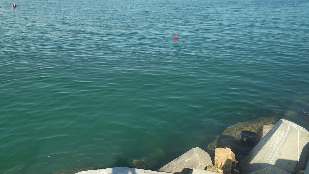 Breakwater construction(5) - YouTube