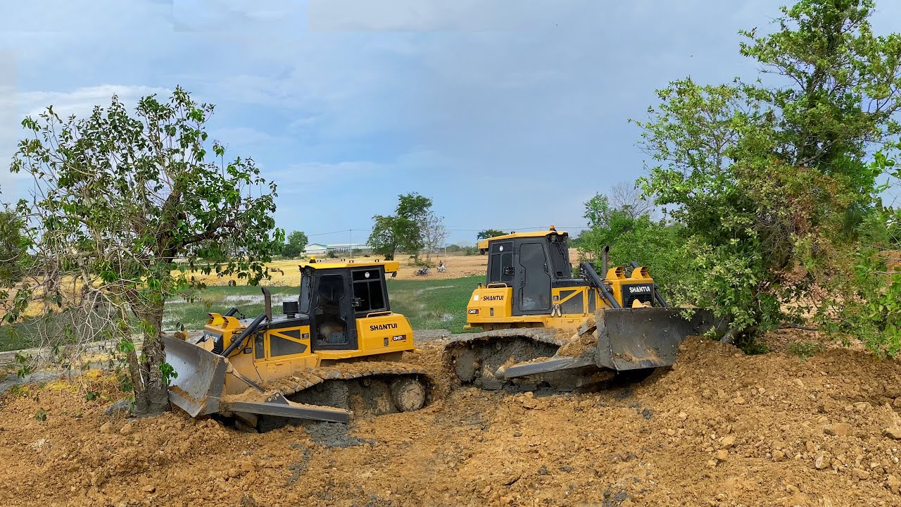 Activities Powerful SHANTUI DH17c2 Dozer Perfect Forest Clearing Tree ...
