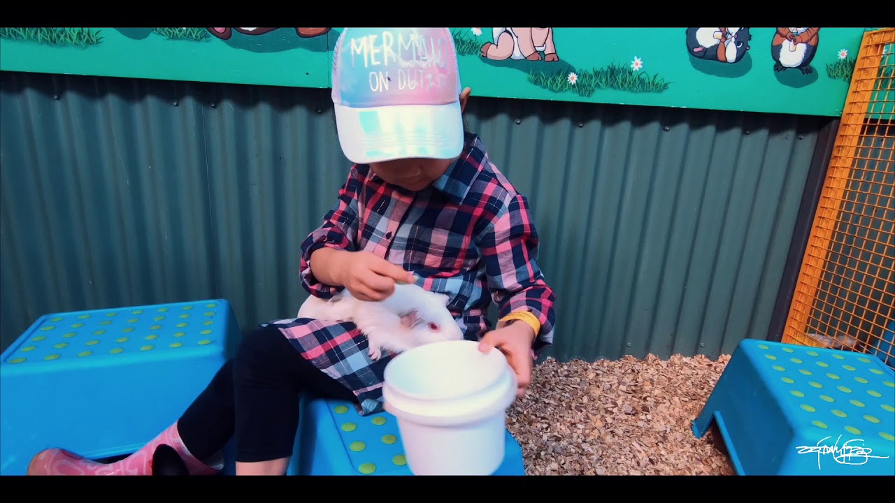 Swan Valley Cuddly Animal Farm - YouTube