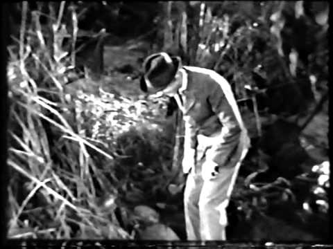 A GIRL OF THE LIMBERLOST Swamp scene - YouTube