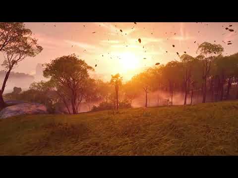 Relaxing Ambience Music - Sunrise Forest