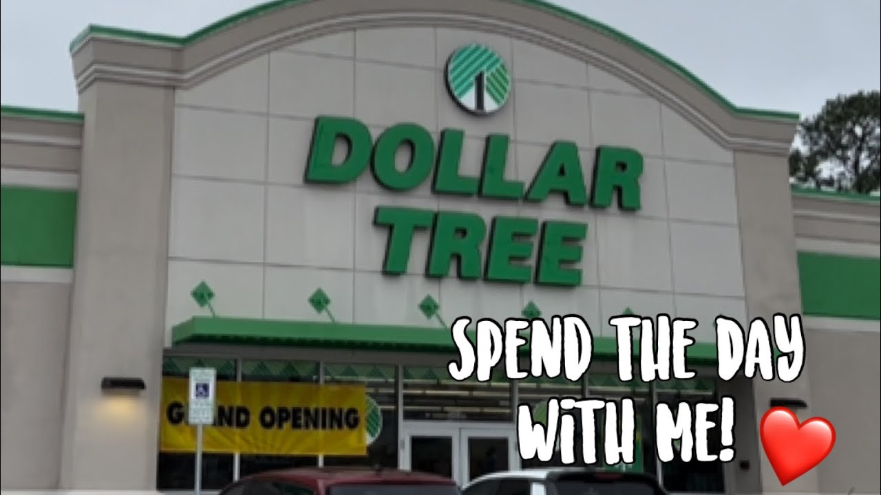 Vlog - New Dollar Tree Walk Thru, Browsing Antiques and a Thrift Store & Haul | November 12 ...