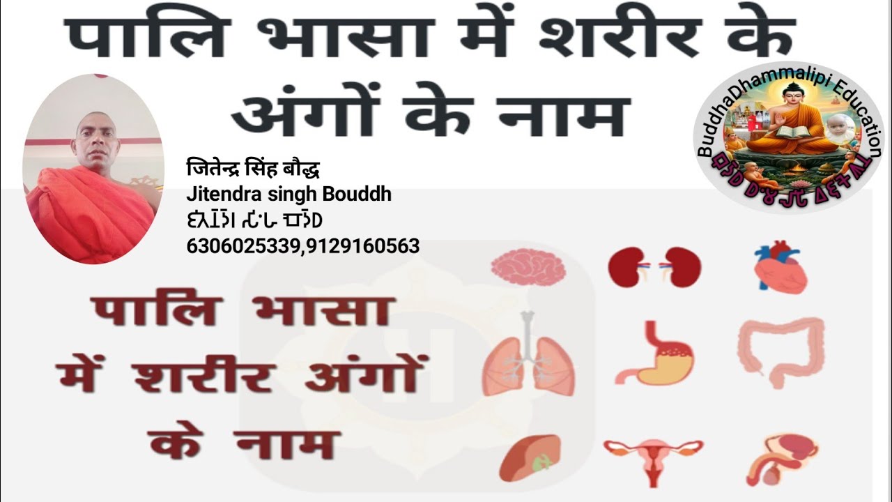 पालि भाषा में शरीर के अंगों के नाम – Body Parts Name in Pali Language# ...