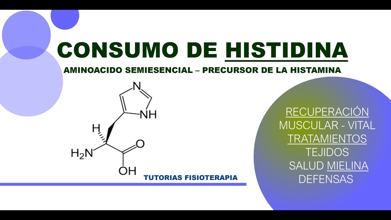 HISTIDINA AMINOACIDO FUNDAMENTAL PARA LA VIDA LA IMPORTANCIA DE ...
