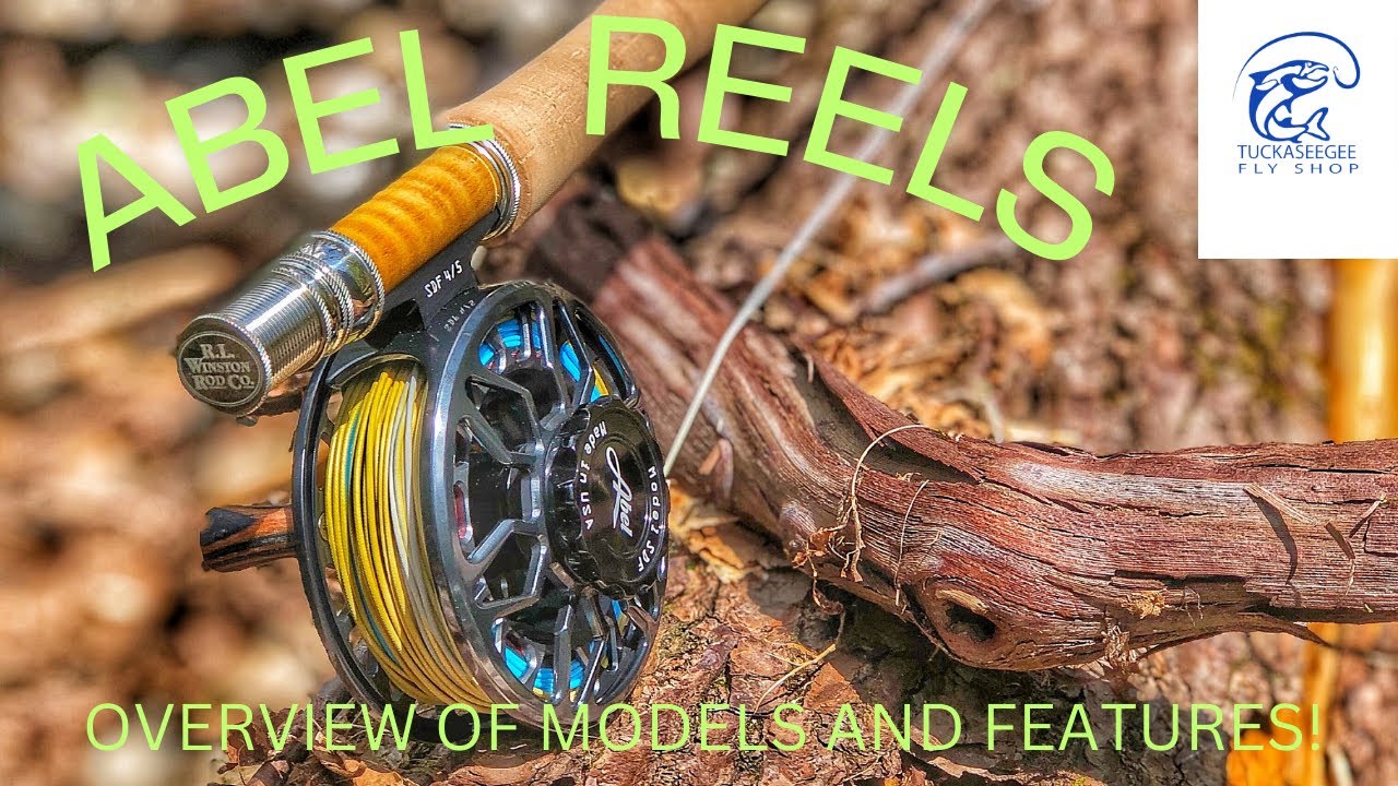 Abel Reels! - YouTube