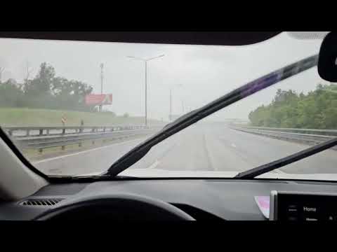 Собачку покрестили за 70 тысяч? Центр абсурдных слухов. Бредни неучей захватывают умы