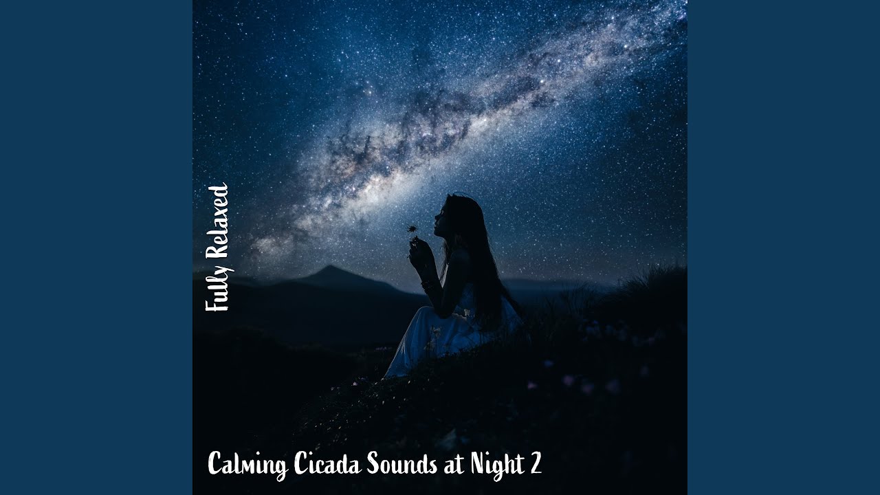 Calming Cicada Sounds at Night, Pt. 1 - YouTube