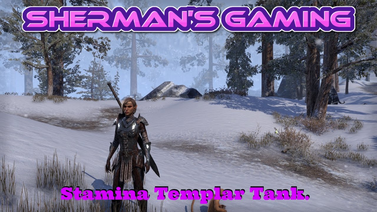 ESO Stamina Templar Tank. - YouTube