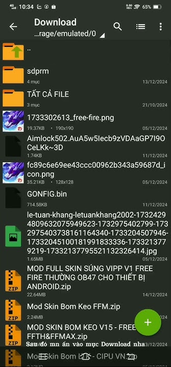 Hướng Dẫn Mod Skin Free Fire Ob48 Mới Nhất 2025 - YouTube