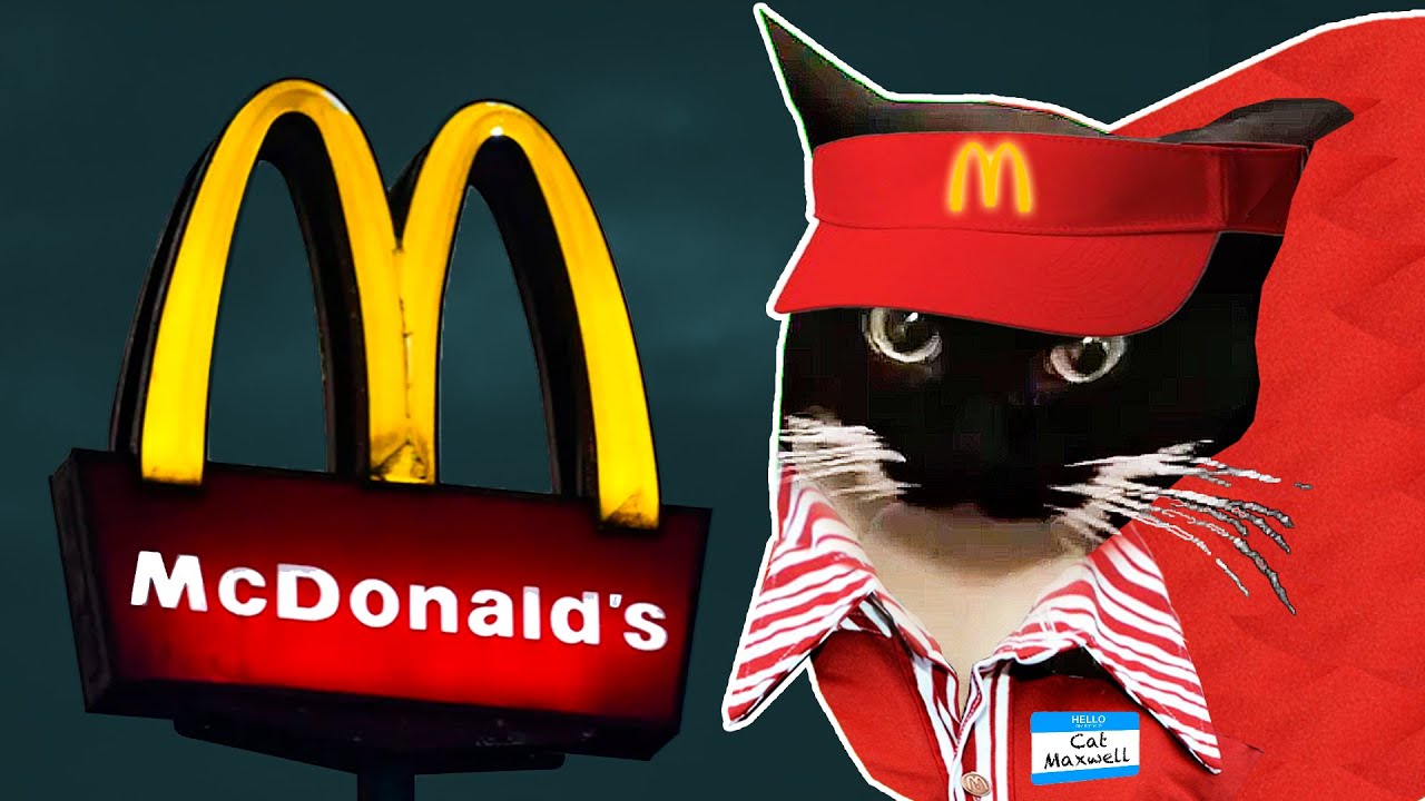 Maxwell the Cat works at McDonald's - YouTube