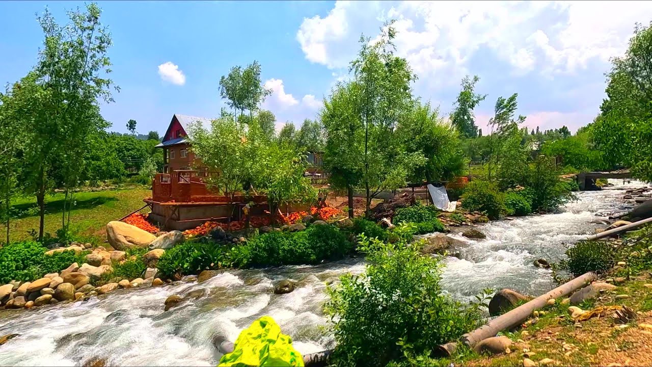 Walk tour around the countryside in India | Kashmir village road walk ...