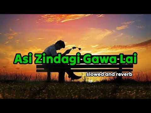 Asi Zindagi Gawa Lai | Slowed and reverb | Sania_Typist1