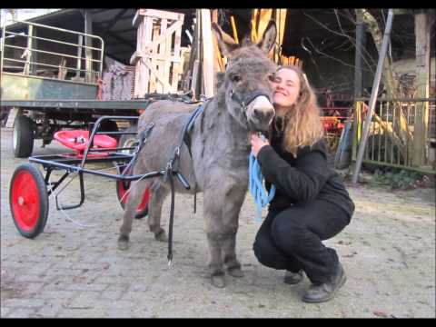 Bram&Vlek 4ever!