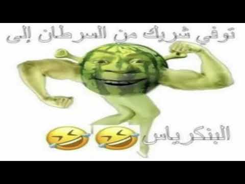 Arab Shrek Moment - YouTube