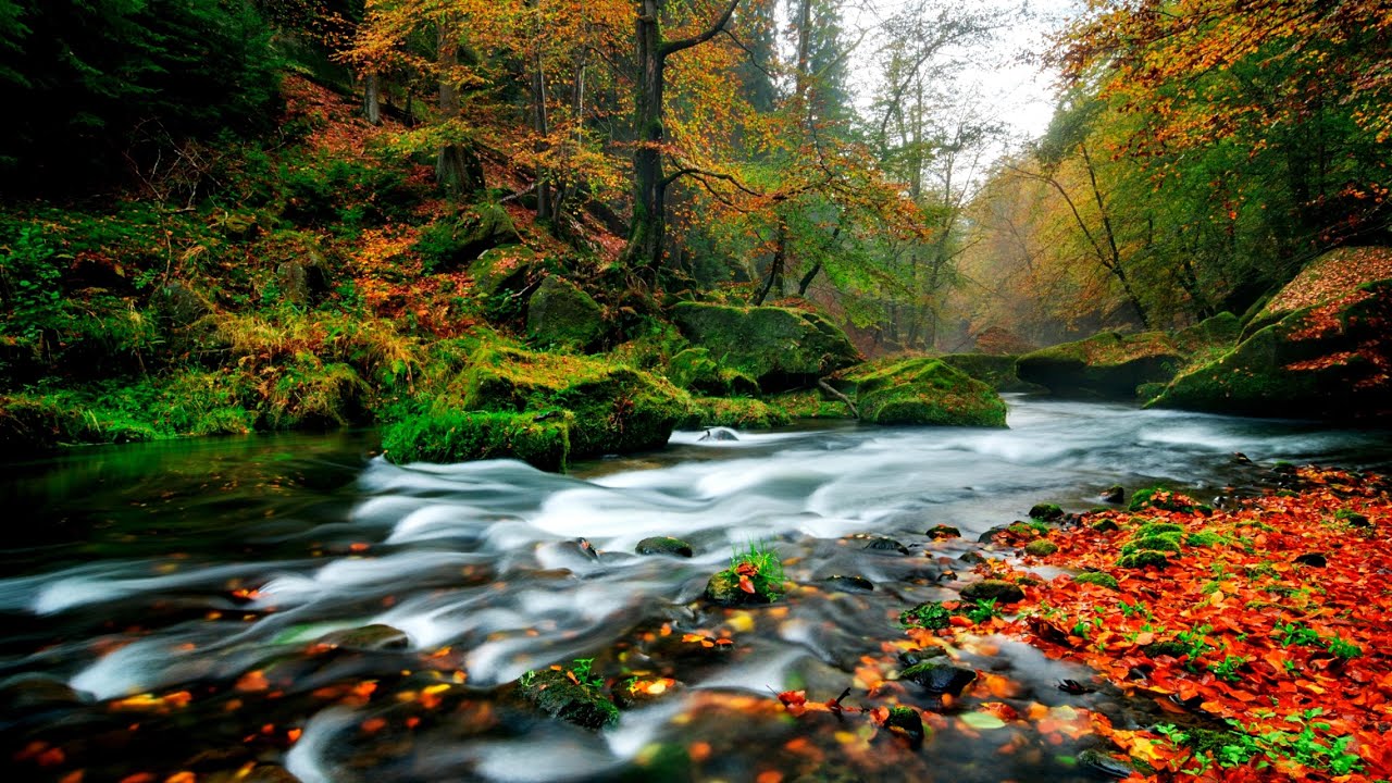 Relaxing Piano Music with Real Nature Sounds | Serene Natural Scenery ...