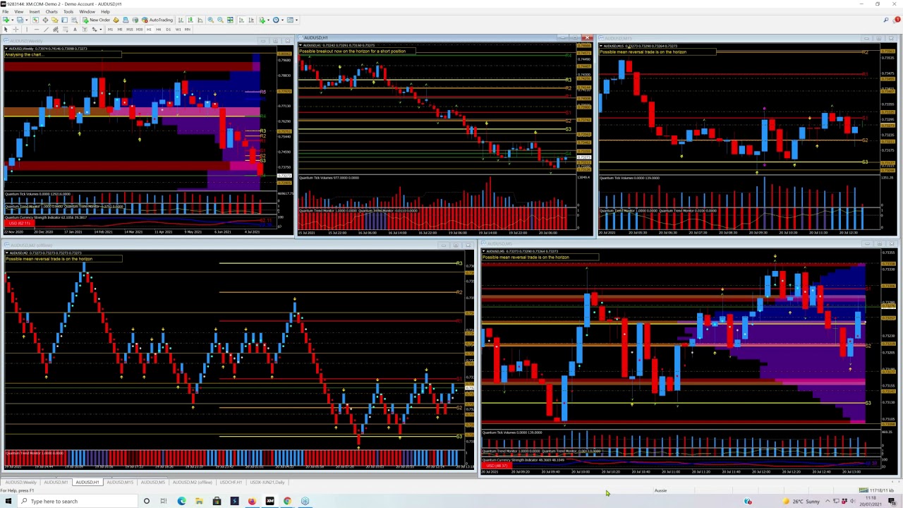 learn-how-to-trade-currencies-using-volume-price-analysis-with-anna