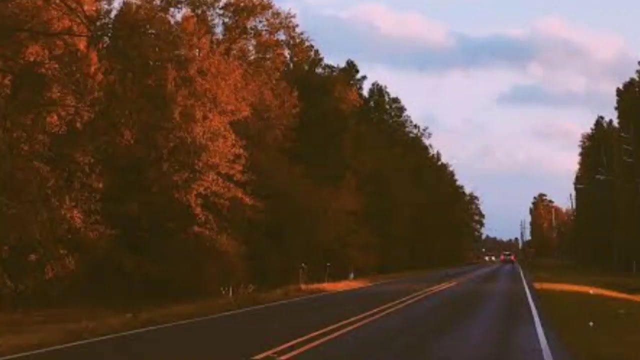 CARDIGAN | by Taylor Swift | Lyric Music Video - YouTube