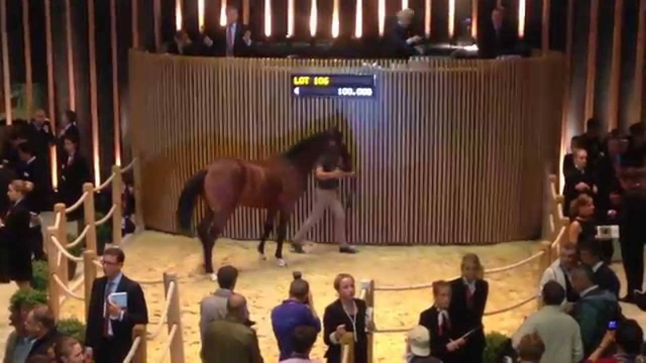 ARQANA DEAUVILLE YEARLING AUCTION N° 106 on Aug 17 2014 - YouTube