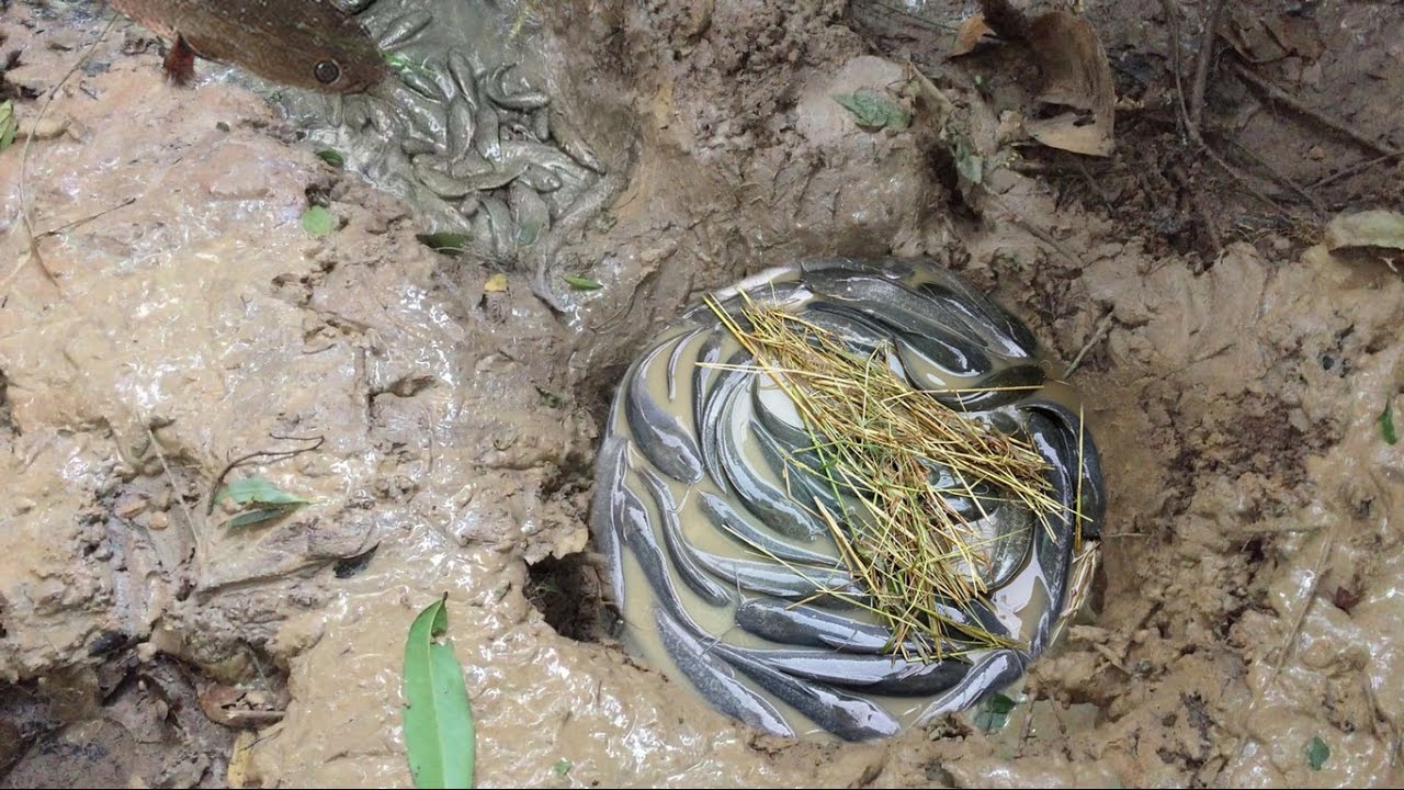 Deep Hole Fishing - Incredible Rich People Catch Fish Using Deep Hole ...